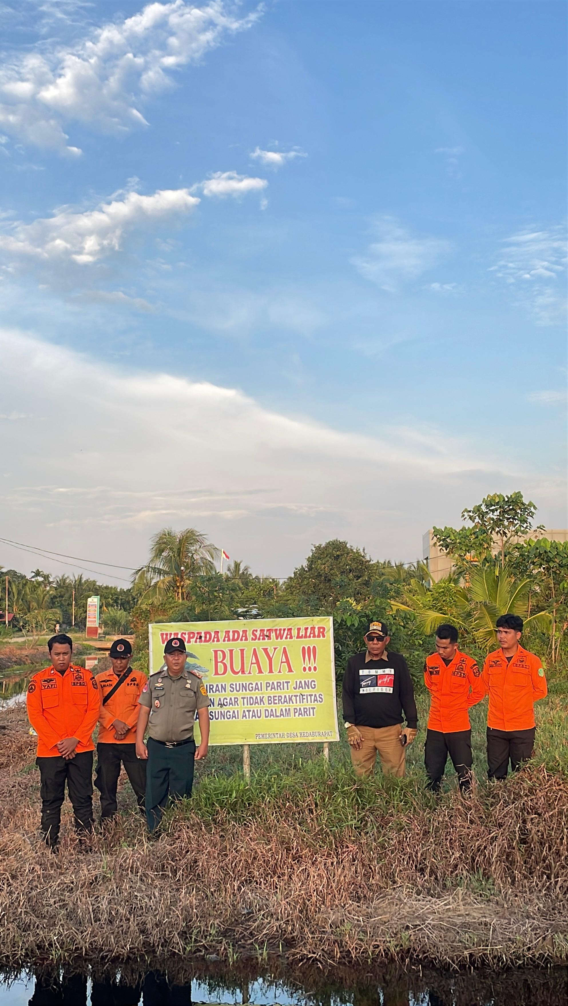 Buaya 4 Meter Resahkan Warga Kedabu Rapat, BPBD Koordinasi dengan BKSDA ...